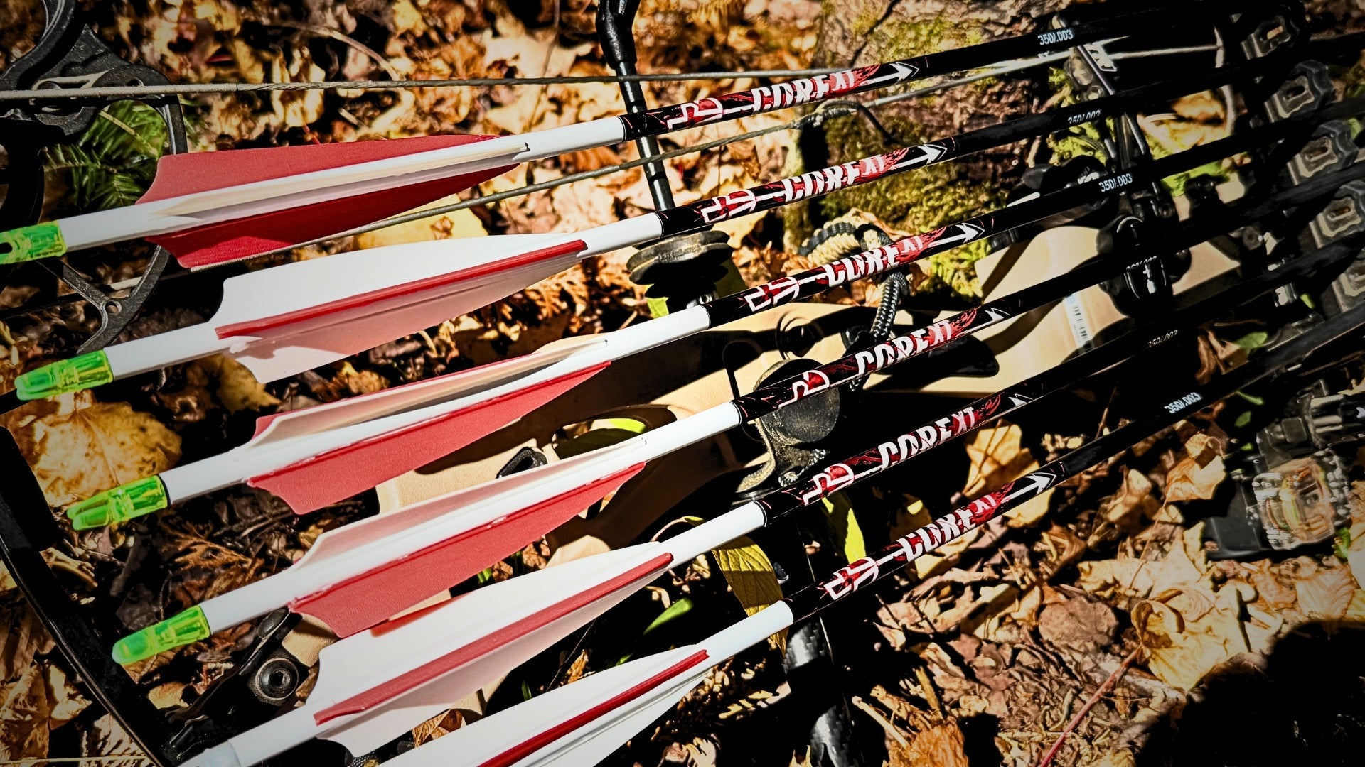 Choisir la bonne flèche de chasse ! – Chasse Pêche 2.0